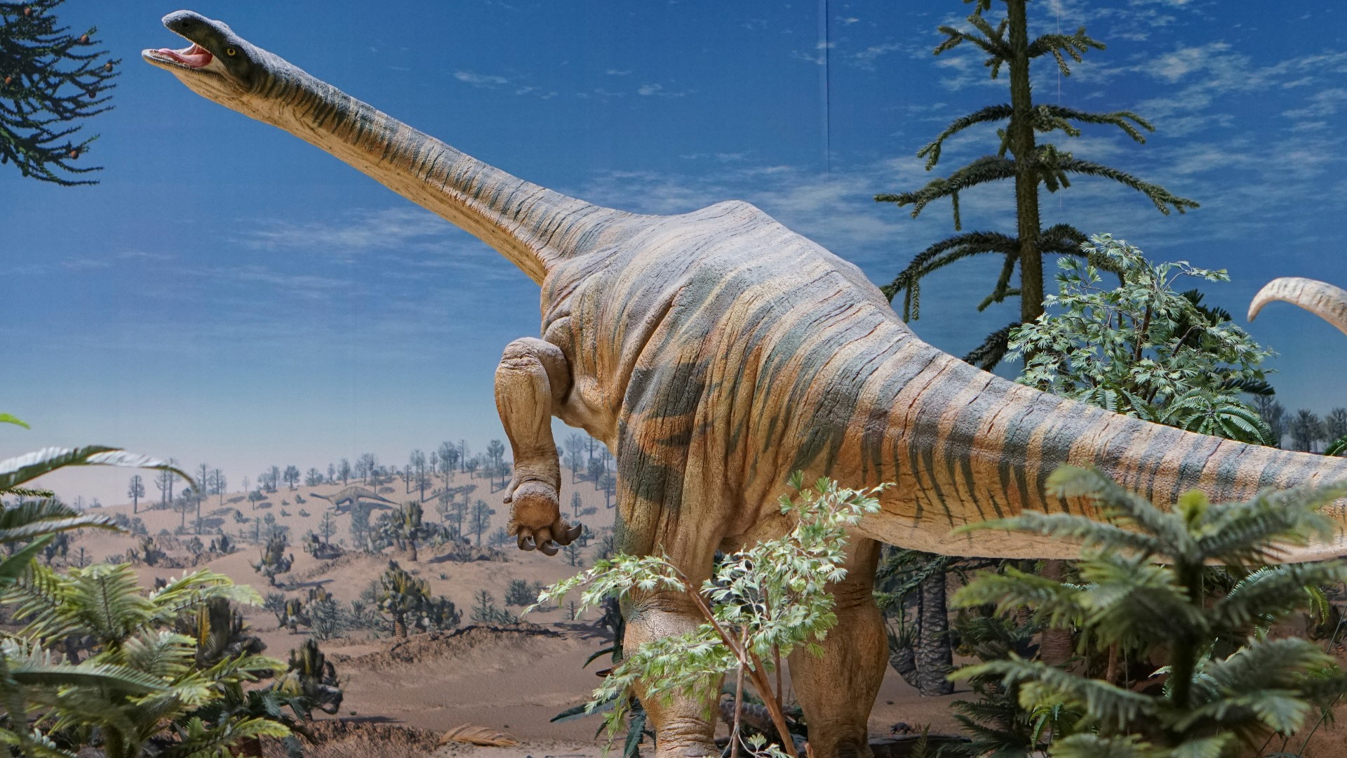 Climate change impacted dinosaur migration, study shows | whas11.com