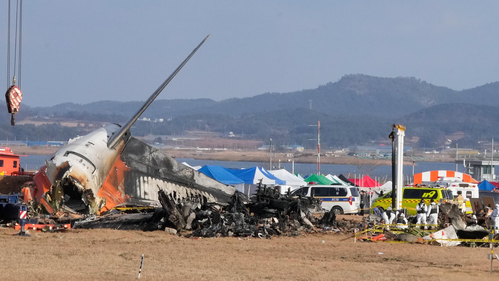 Who were the survivors of the catastrophic plane crash in South Korea ...