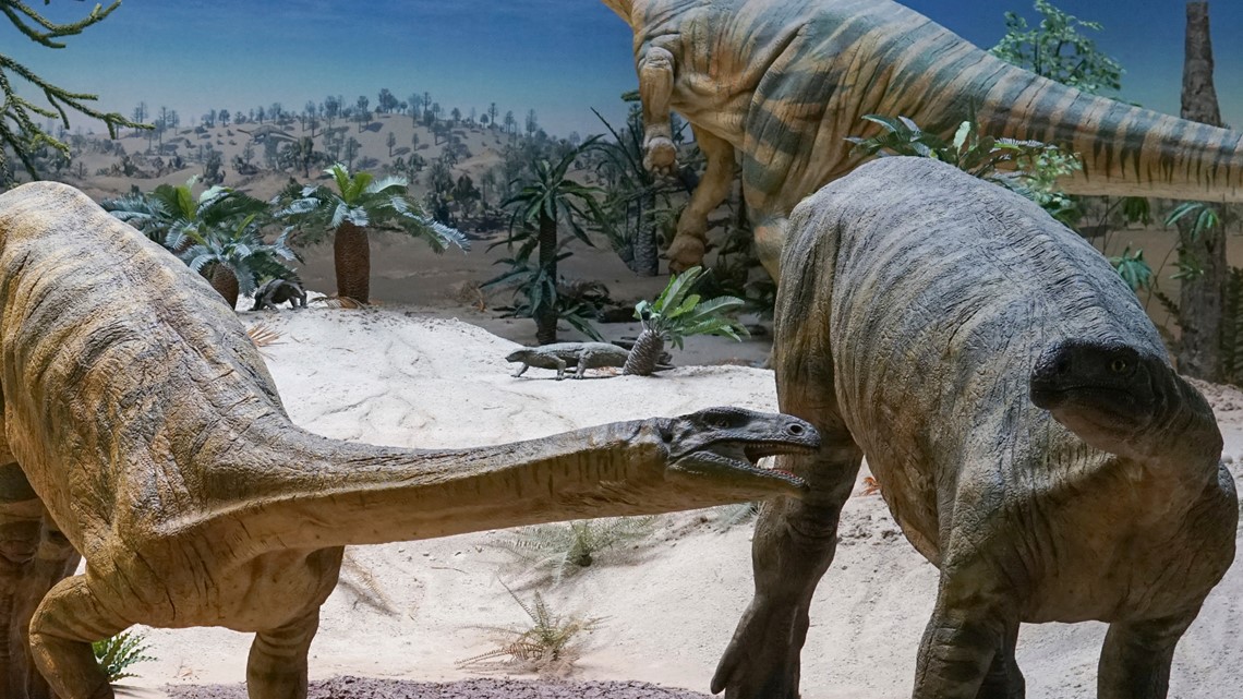 Climate change impacted dinosaur migration, study shows | whas11.com