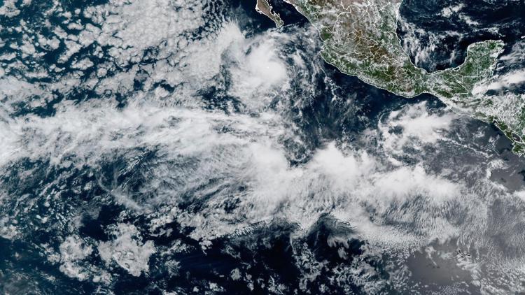 Ally Rednour demands school bus upgrades after dragged in 2015 | whas11.com