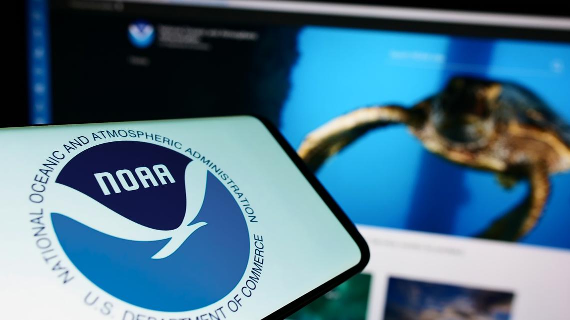 JCPS bus finder app: How to download | whas11.com