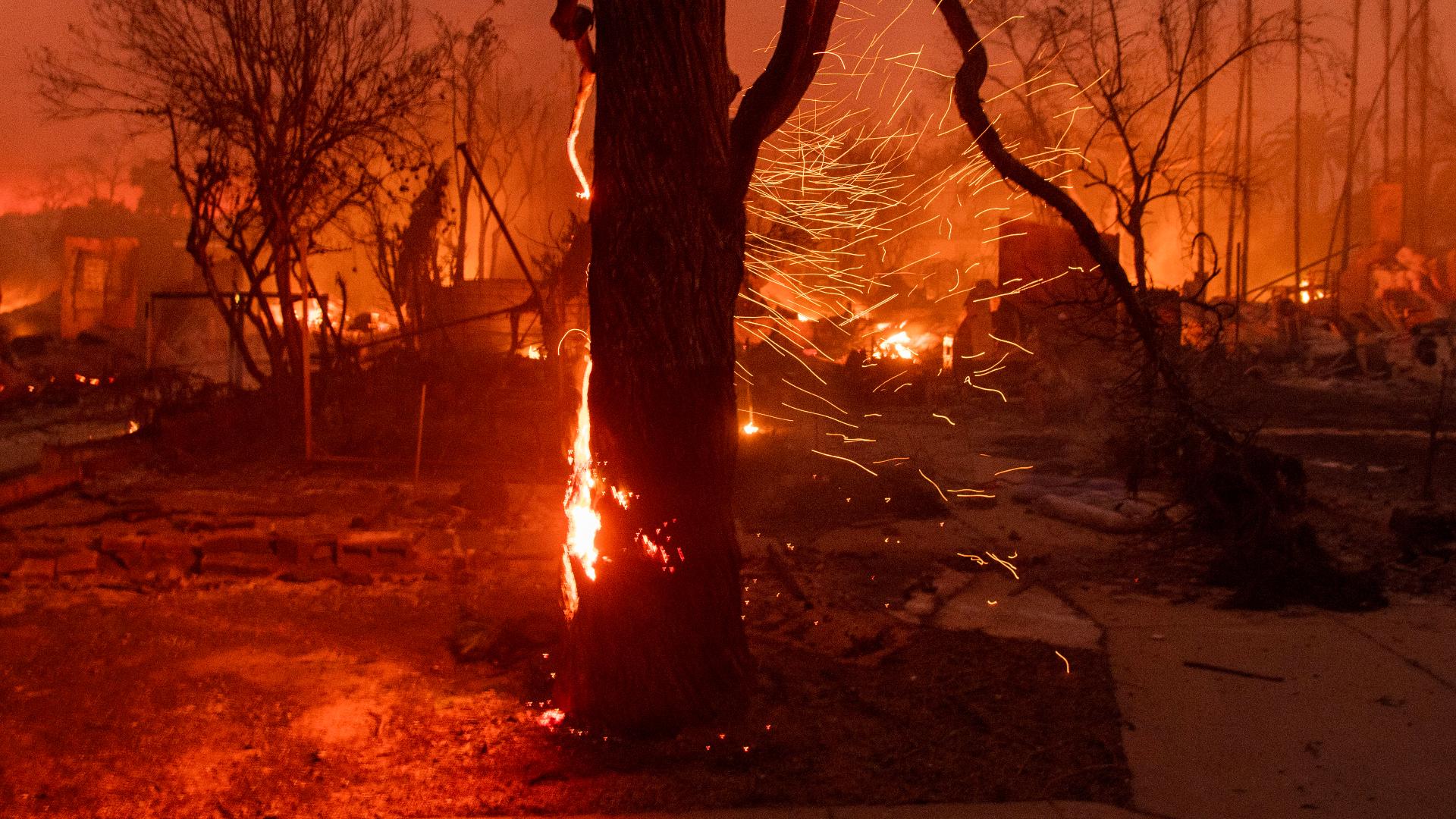 What's causing Southern California's most devastating winter fires in ...