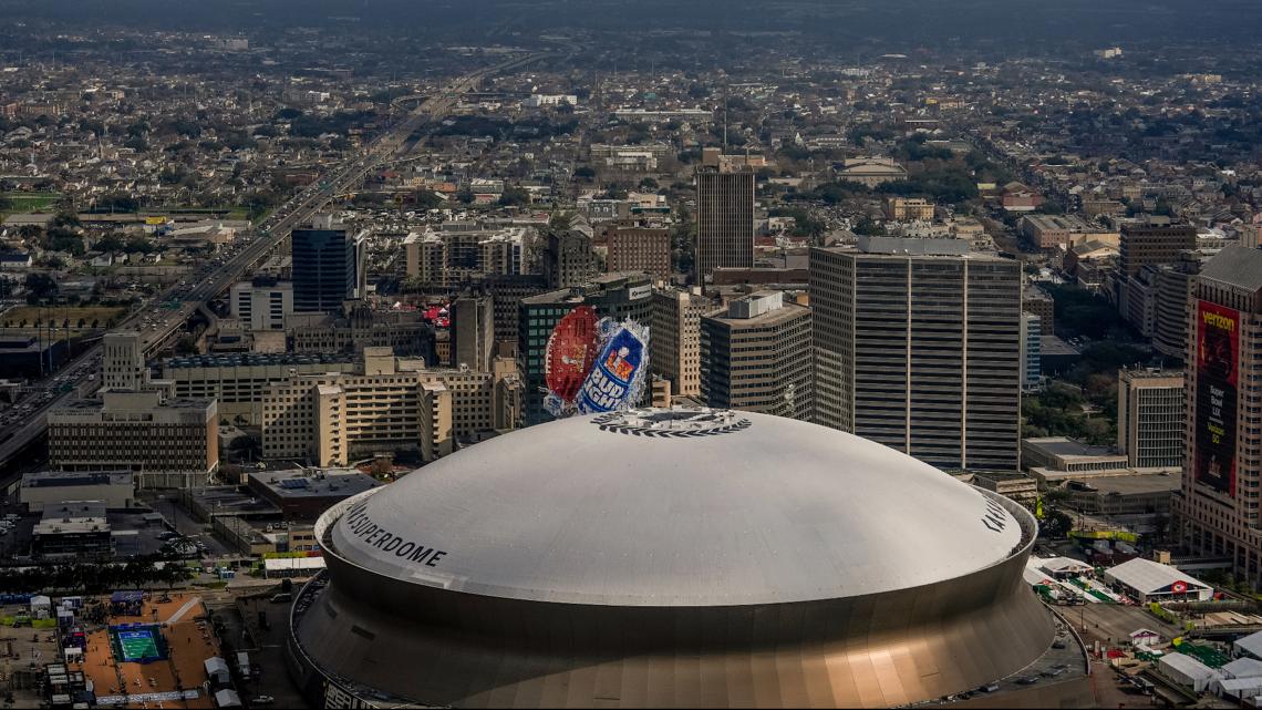 Wildlife in Need's Tim Stark collapses during hearing | whas11.com