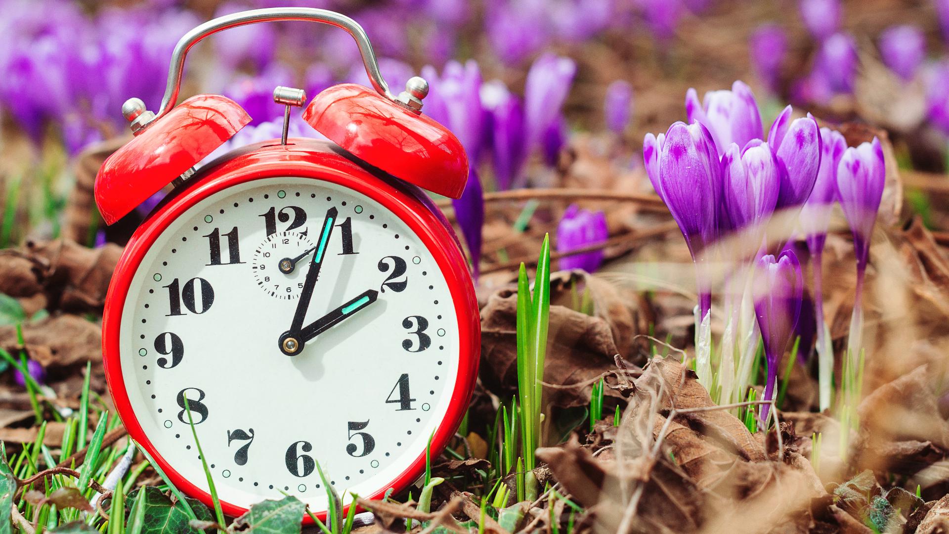 Daylight saving time 2025: When clocks 'spring forward' | whas11.com