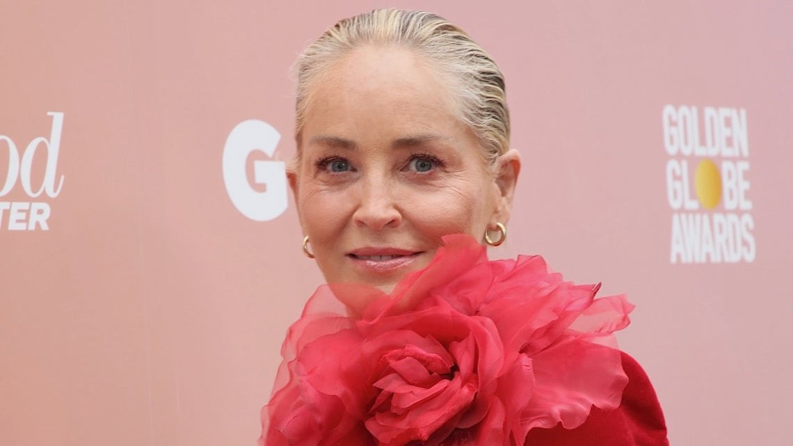Sharon Stone Says She Lost $18 Million Fortune Following 2001 Stroke ...