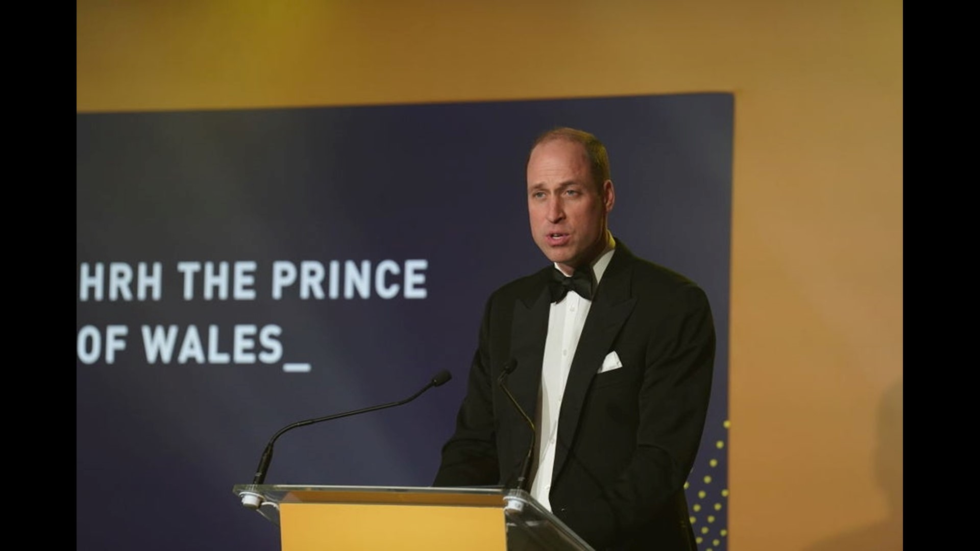 Prince William Briefly Mentions Kate Middleton in Speech Honoring ...