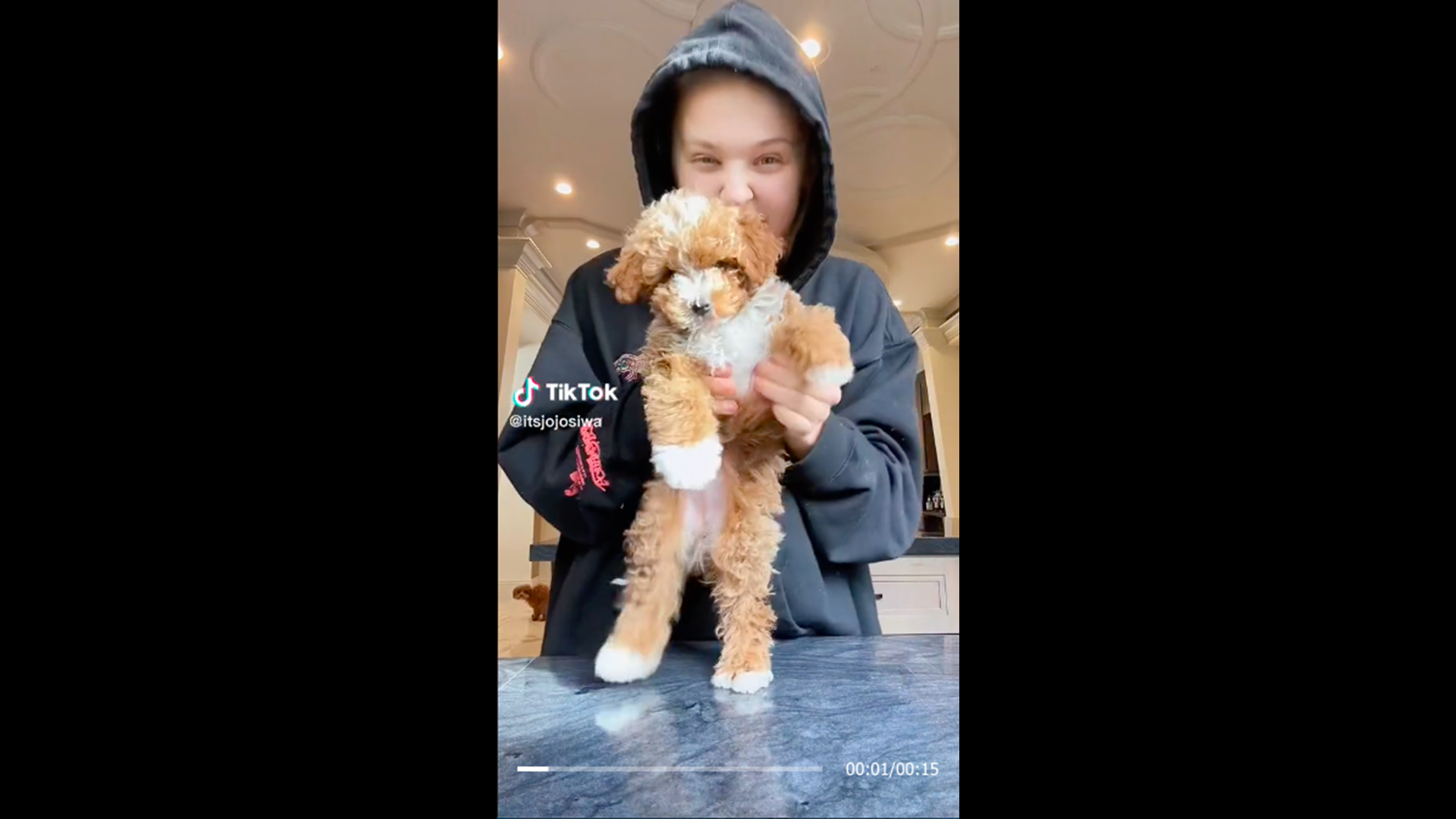 JoJo Siwa Reacts as Fans Catch Her Dog Pooping in the Background of Her ...