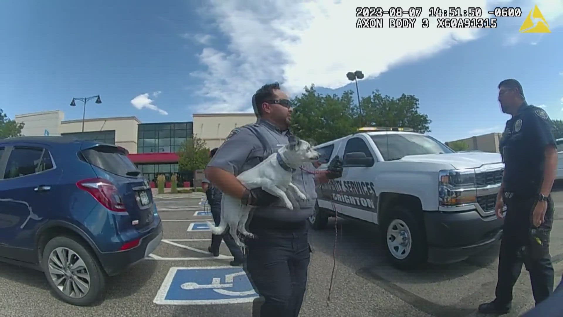 Brighton cops break window of hot car to rescue dog, ticket owner ...