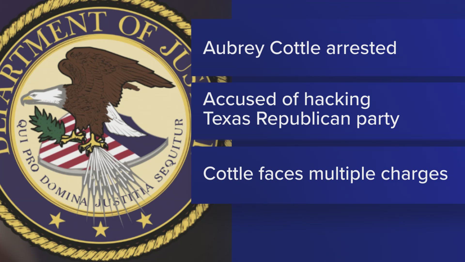 Canadian hacker charged for allegedly stealing data from Texas GOP in ...