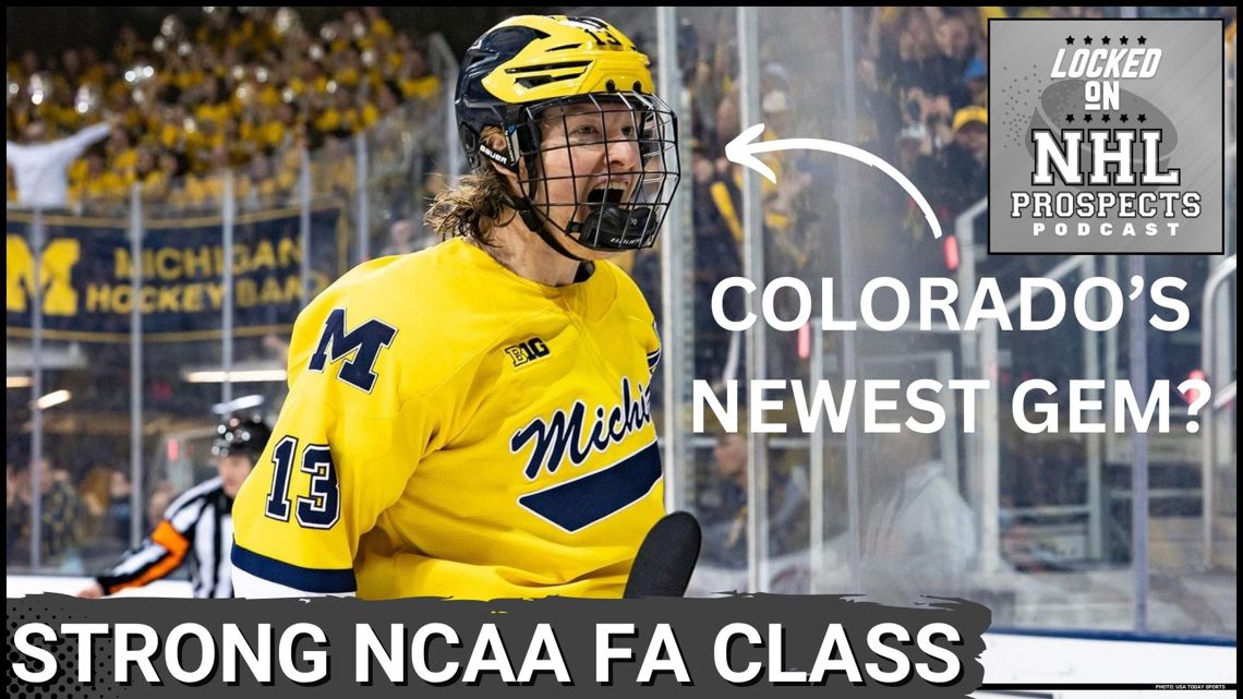 JUST HOW GOOD ARE TJ HUGHES & VINNY BORGESI? | NCAA Free Agents ...