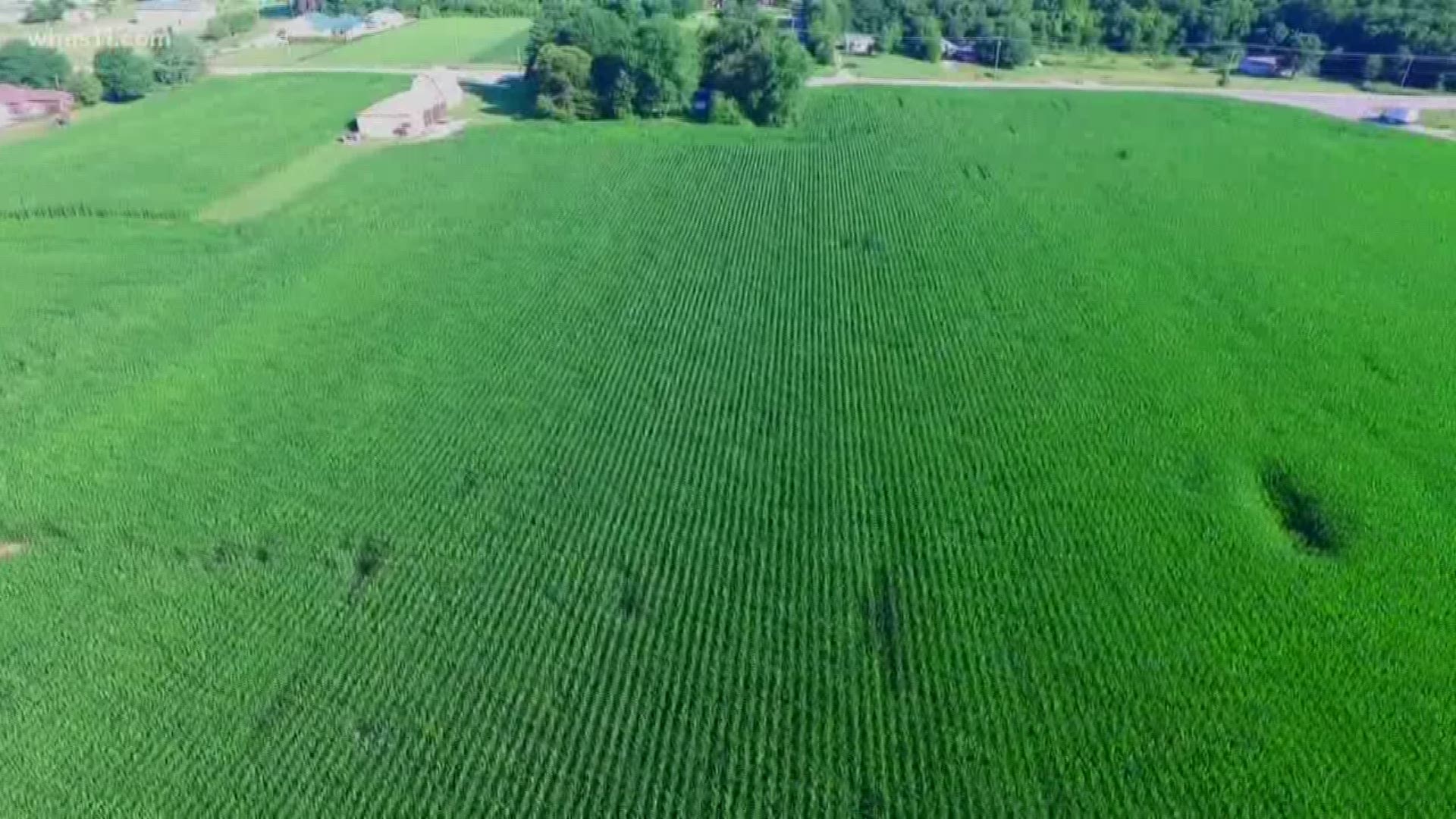 Indiana farmers using new tech to manage their crops | whas11.com