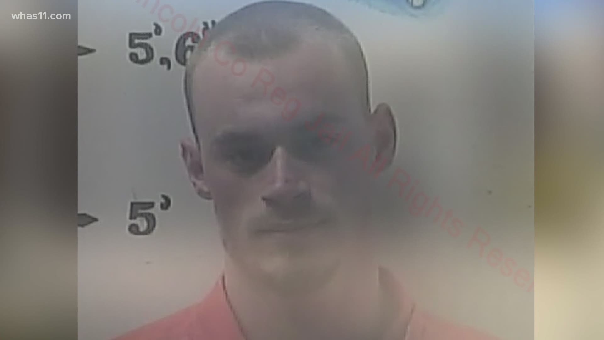 David Sparks pleads guilty to acting alone in Savannah Spurlock's ...