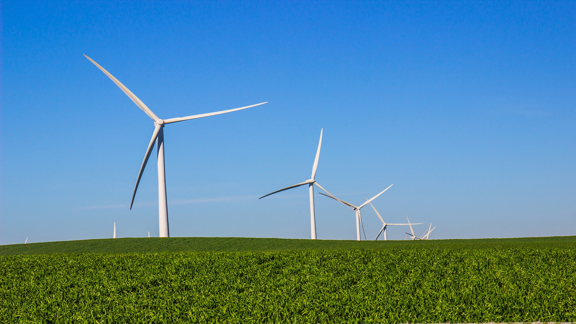 Indiana sees surge in wind power despite lack of standards | whas11.com