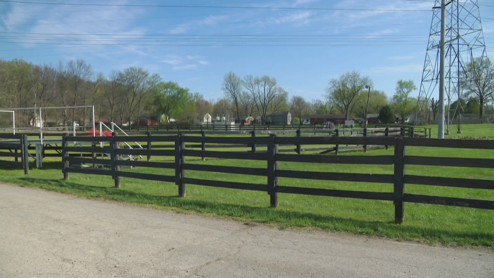 Floyd County 4-H Fair returns without carnival rides | whas11.com