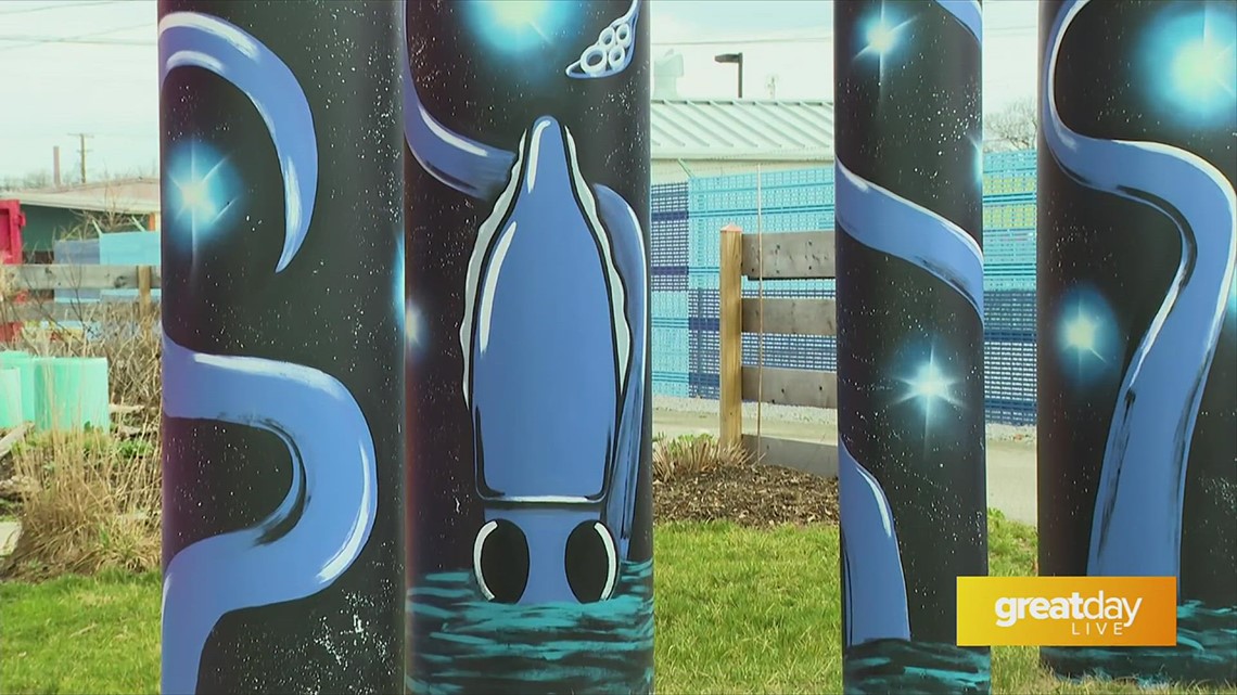 NoCo Art District with Artist Lacey Torrealba Featured on TAG ...