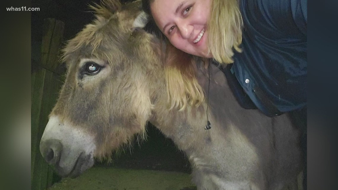 Woman seeks justice for beloved donkey shot, killed in Indiana | whas11.com