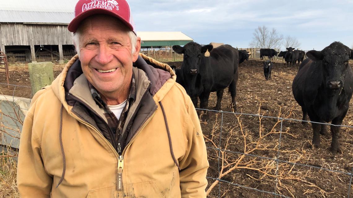 Farmer wins prestigious award, splurges the $10,000 on his cows ...