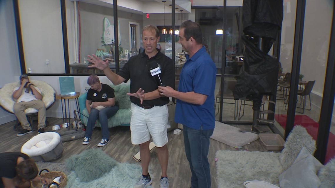 Tony Vanetti at Purrfect Day Cafe | whas11.com