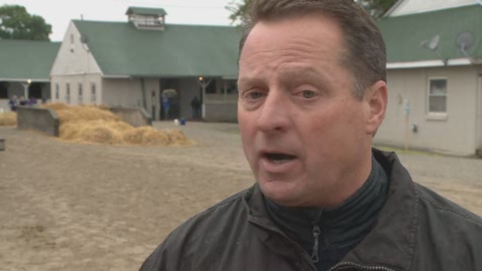 Veteran trainer Tom Amoss talks his Derby contenders | whas11.com