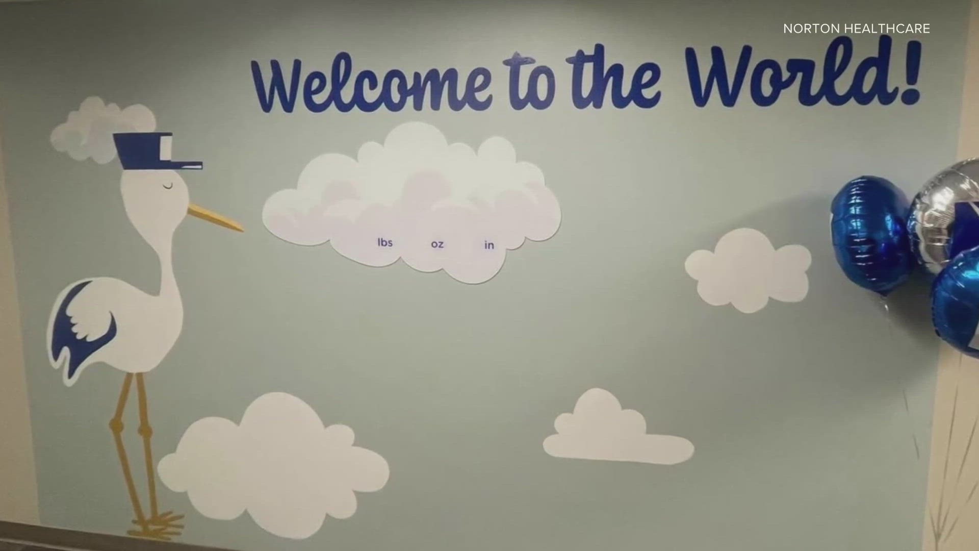 Norton Hospital debuts new mural celebrating families welcoming their ...