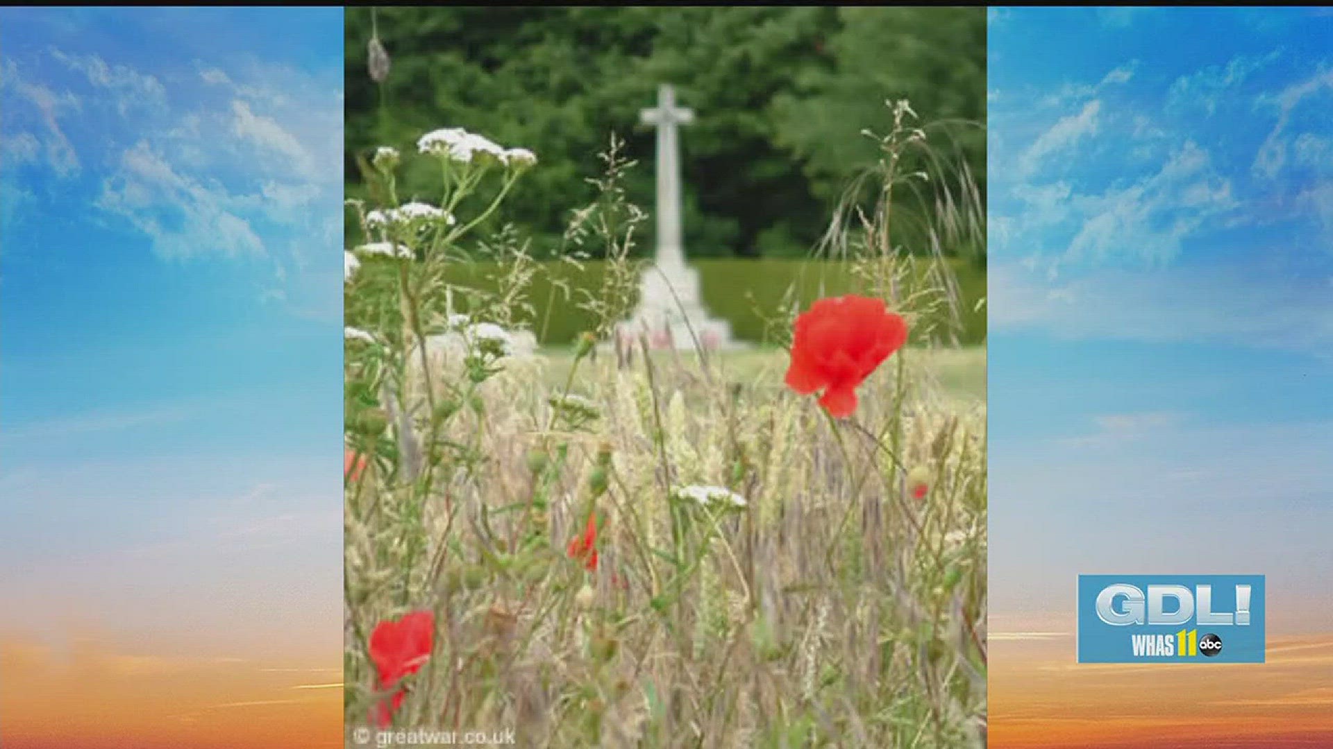 Poppies bloom at Slugger Field for WWI tribute | whas11.com
