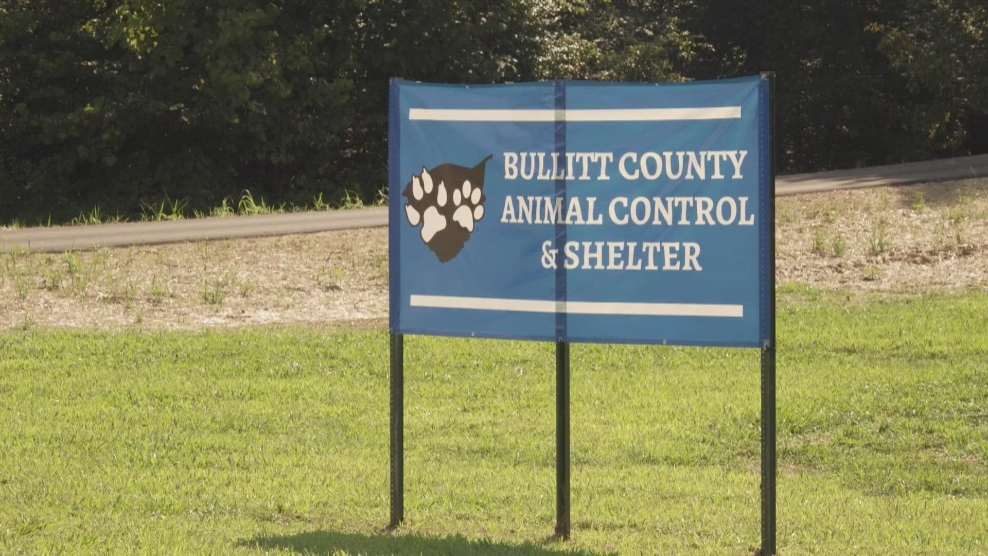 Bullitt County opens new $2.3M animal shelter hub | whas11.com