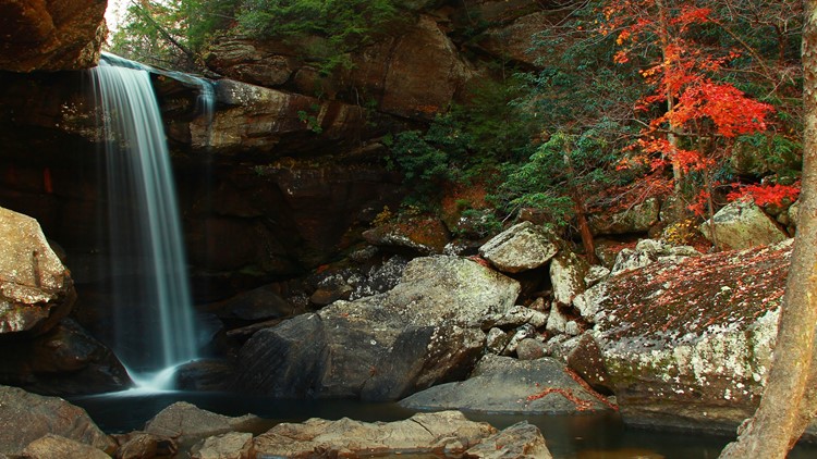 Chasing waterfalls: 7 beautiful Kentucky waterfalls | whas11.com