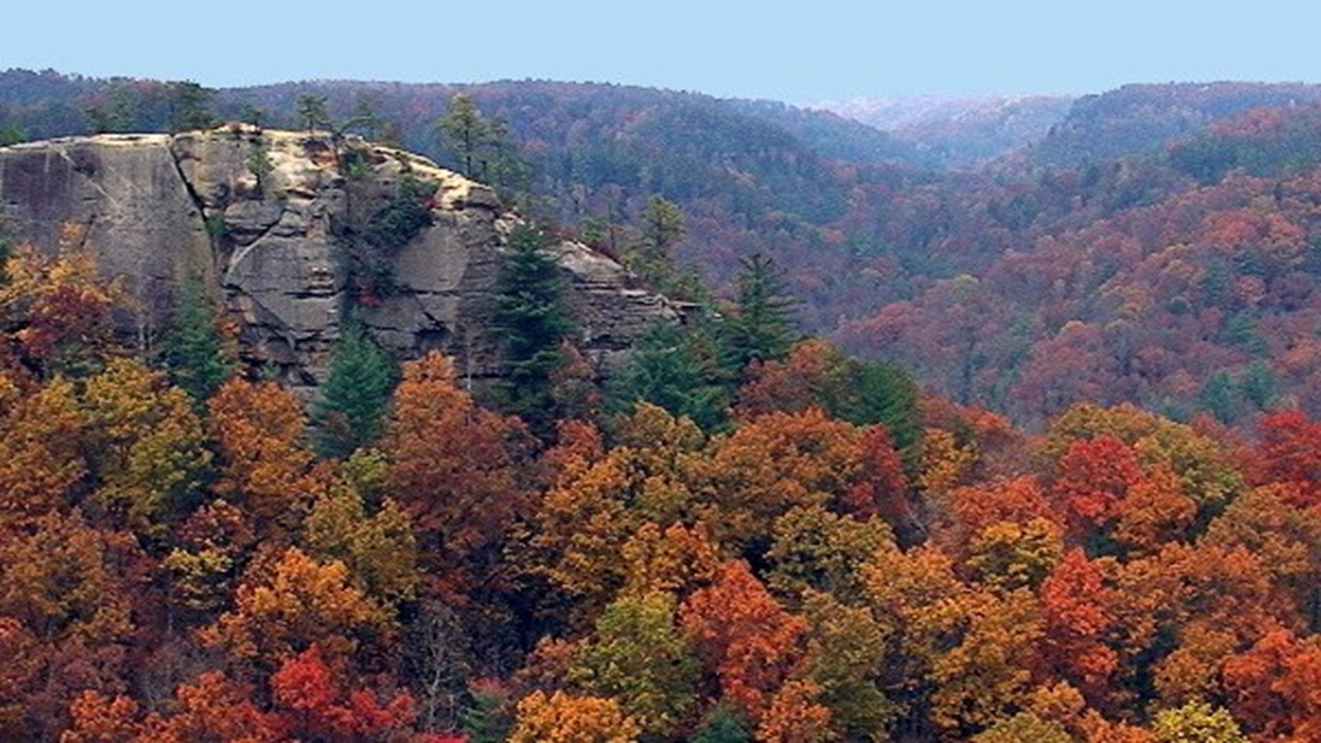 Louisville man killed after fall at Red River Gorge | whas11.com