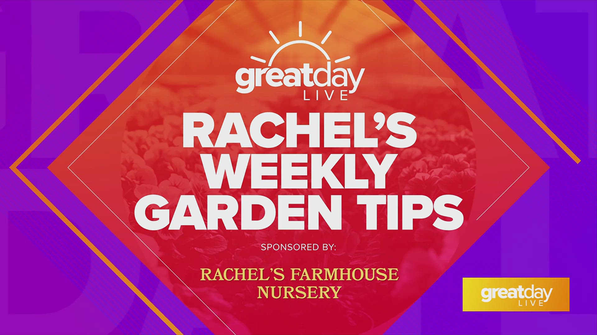 Give Your Plants Room to Breathe! | whas11.com