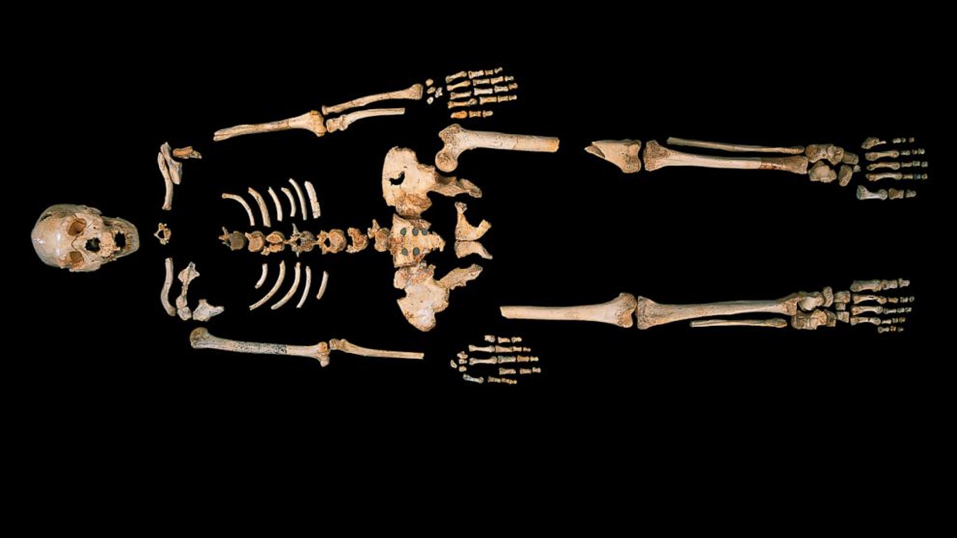 'Pit of Bones' yields oldest known human remains | whas11.com