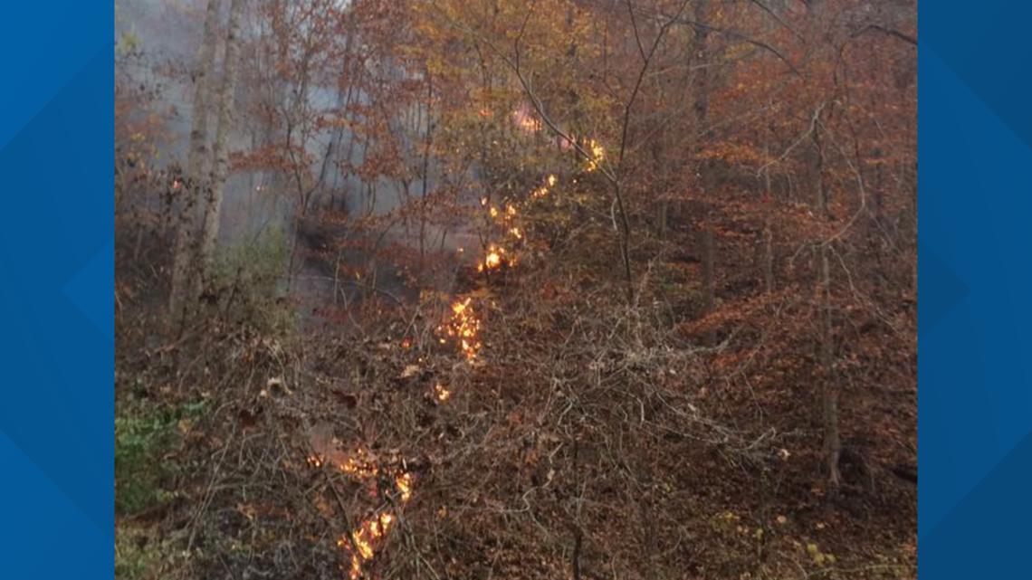 Kentucky fall wildfire hazard season starts Thursday | whas11.com