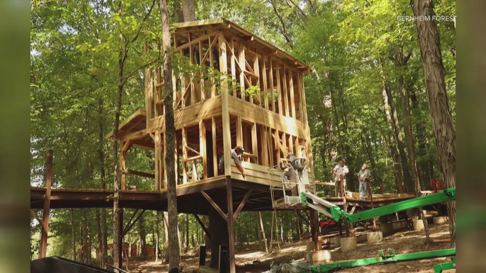 Kentucky's Bernheim Forest unveils wheelchair accessible treehouse ...