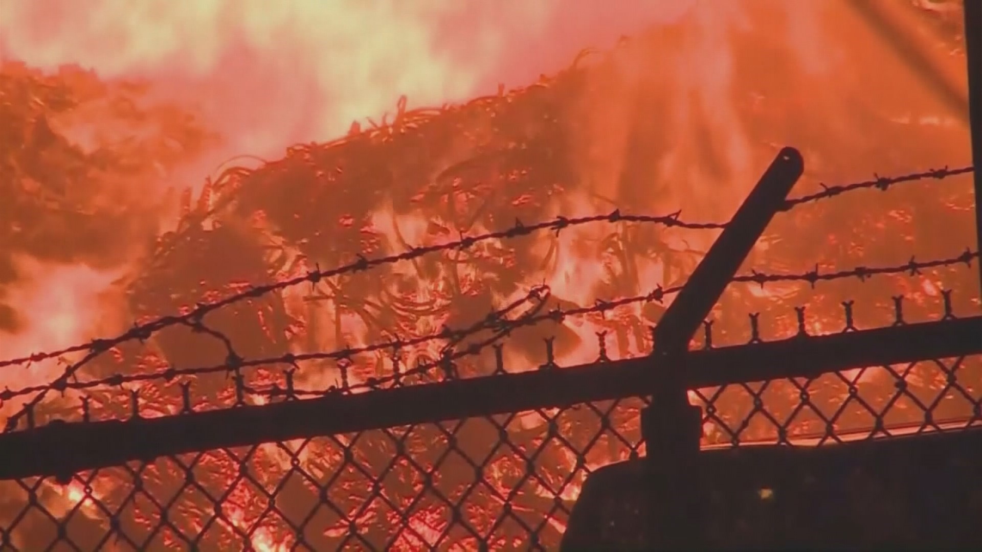 Jim Beam bourbon runoff causes large fish kill: Campers see, smell effects | whas11.com