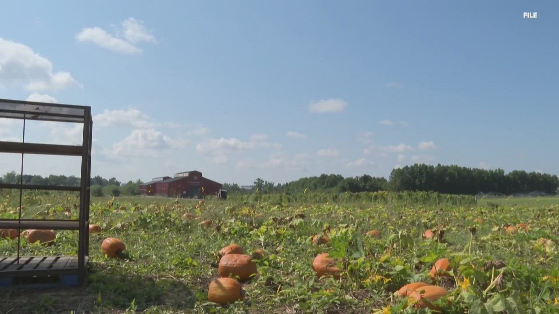 Huber's Orchard ranks in top 10 US pumpkin patches | whas11.com