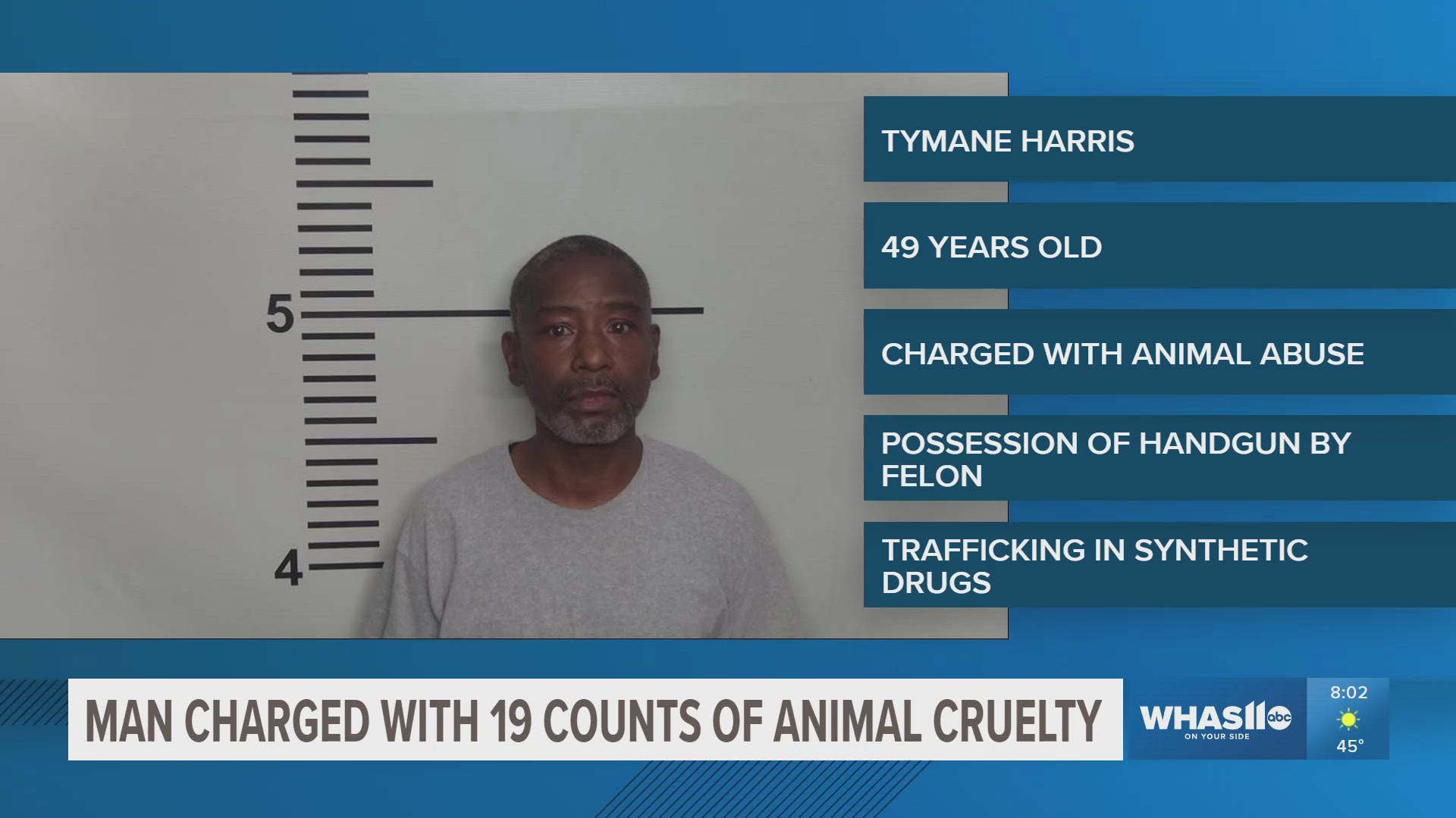 Louisville man arrested after 19 dogs rescued in shocking animal abuse ...