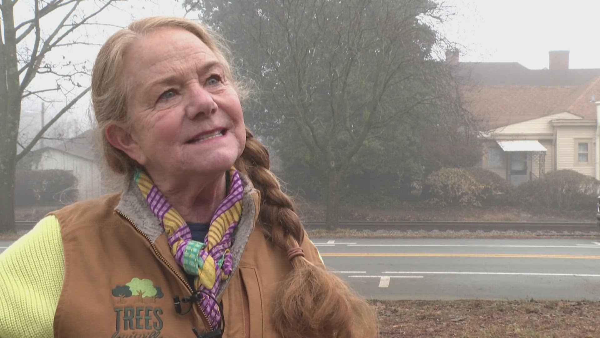 Crescent Hill Library gets major landscape makeover | whas11.com