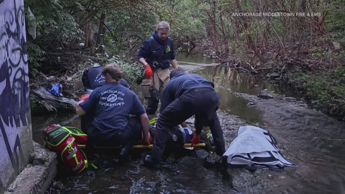 Man rescued after falling off bridge in Louisville | whas11.com