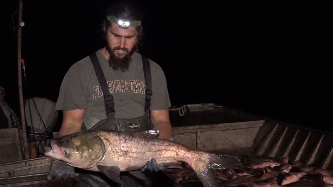 Emergency measures taken to fight Asian Carp | whas11.com