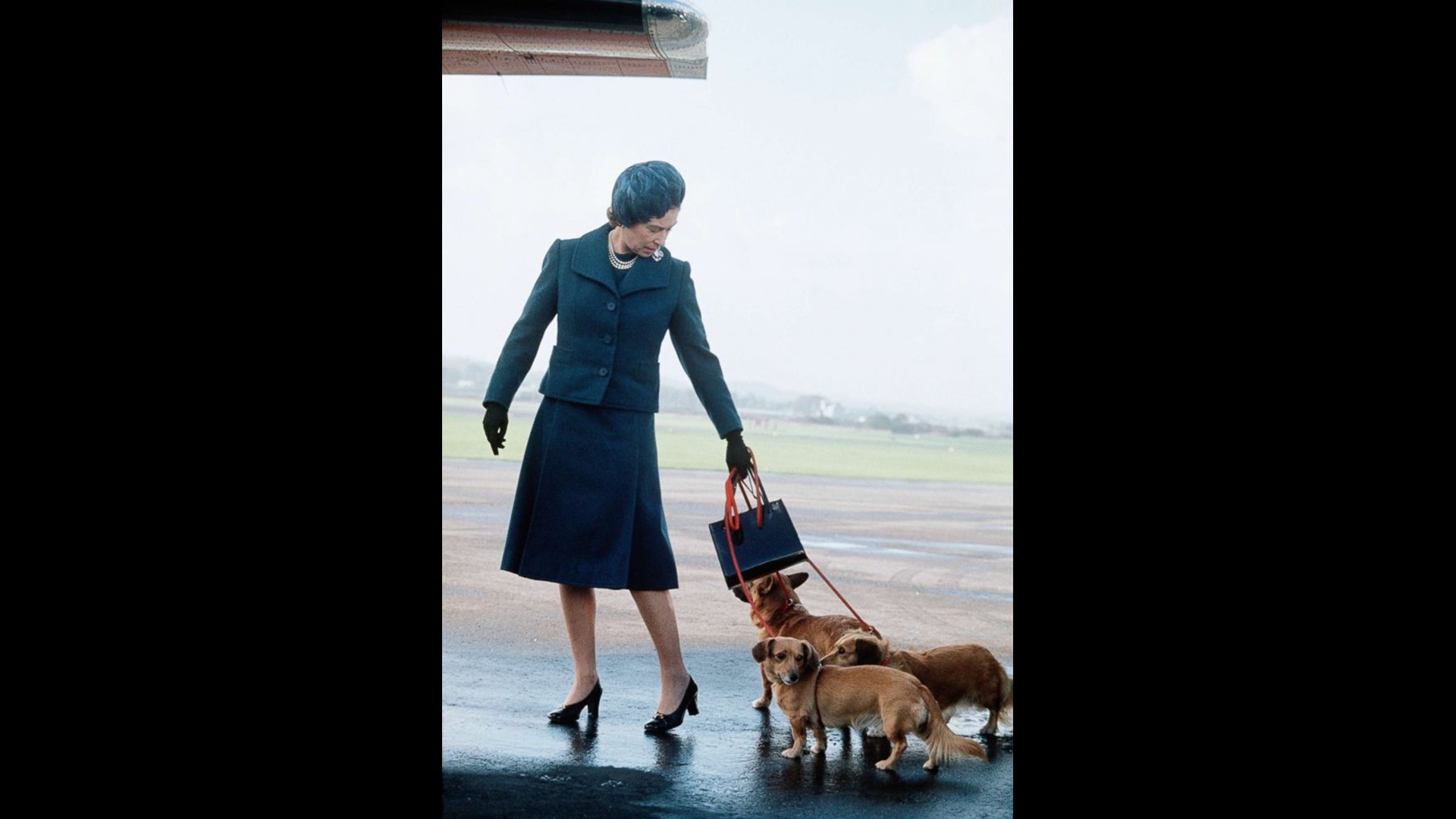 Queen Elizabeth mourns death of her last corgi, Willow | whas11.com