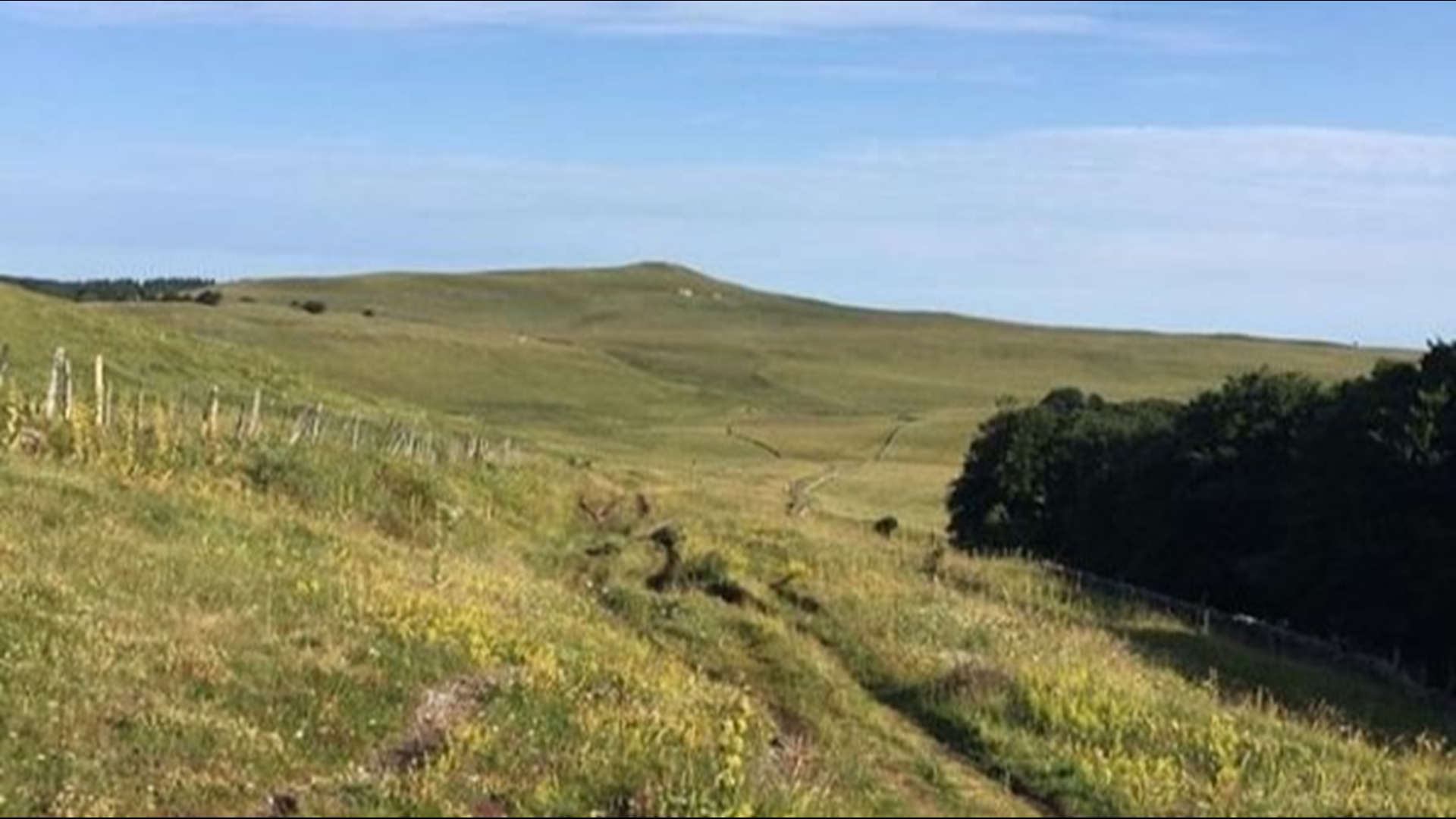 Father Sanchez begins long walk from France to Spain | whas11.com