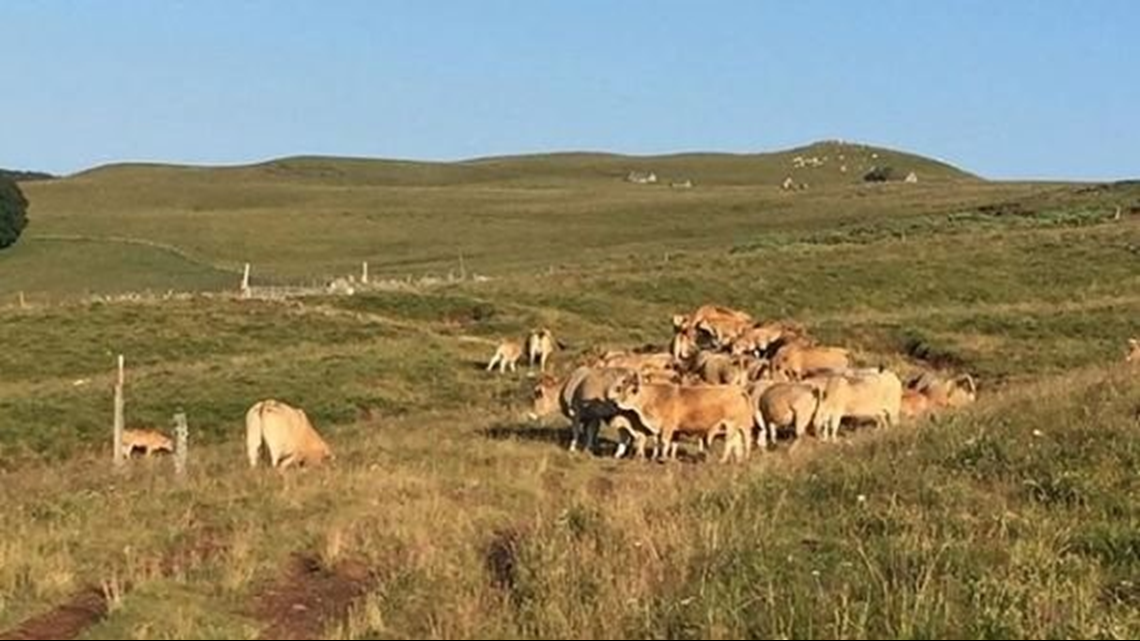 Father Sanchez begins long walk from France to Spain | whas11.com
