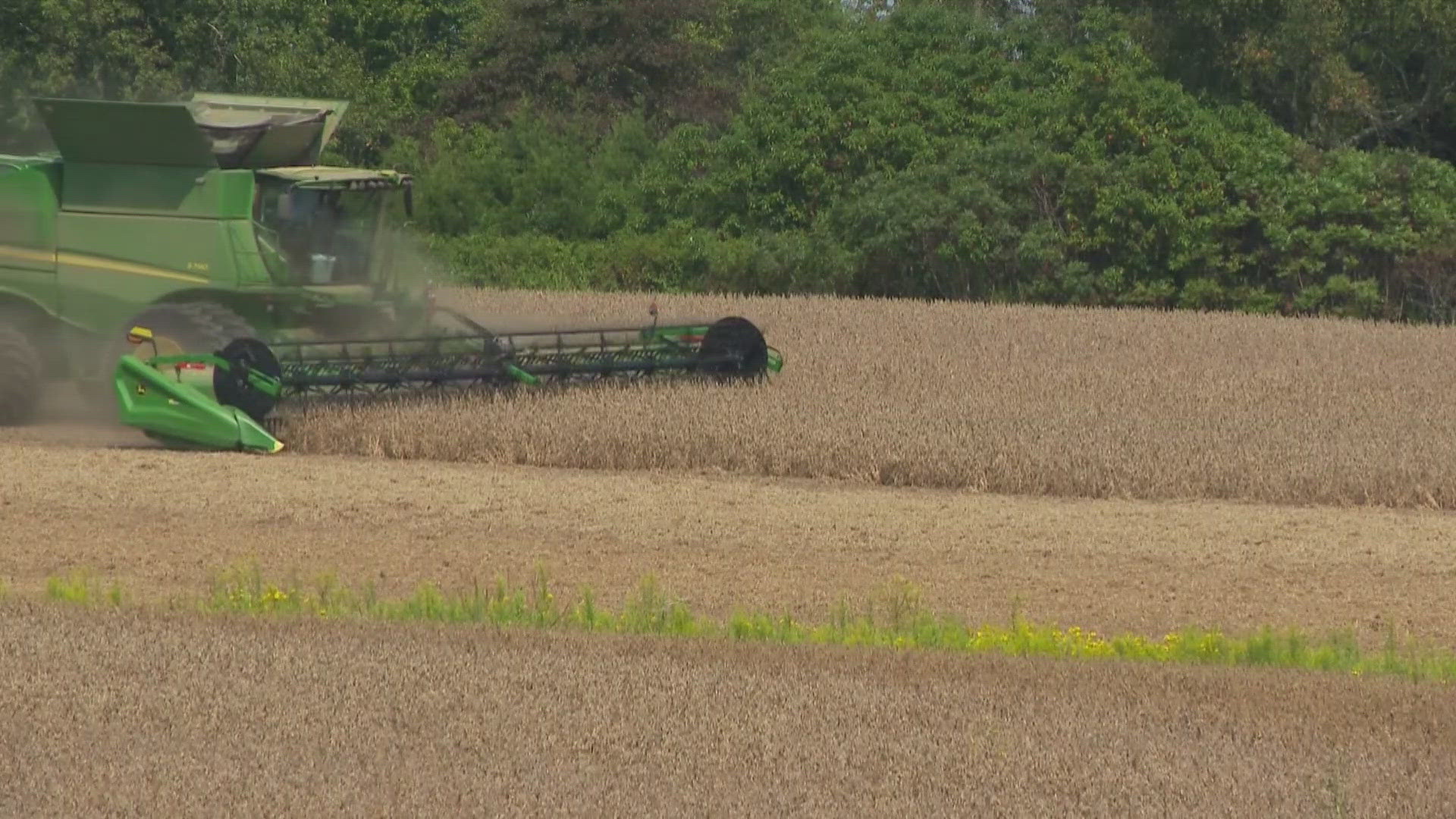 Kentucky farmers at risk of losing millions due to Trump's trade war ...