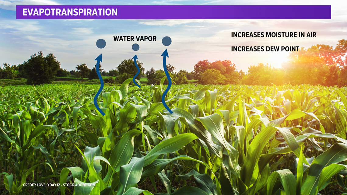 The difference between hot and muggy | whas11.com