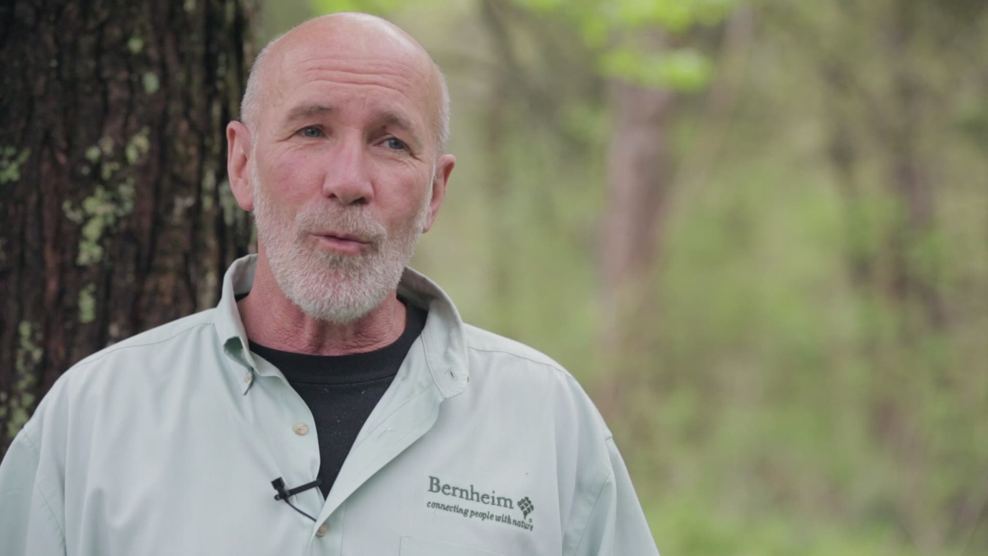 Bernheim invites public to help break the world tree hugging record ...