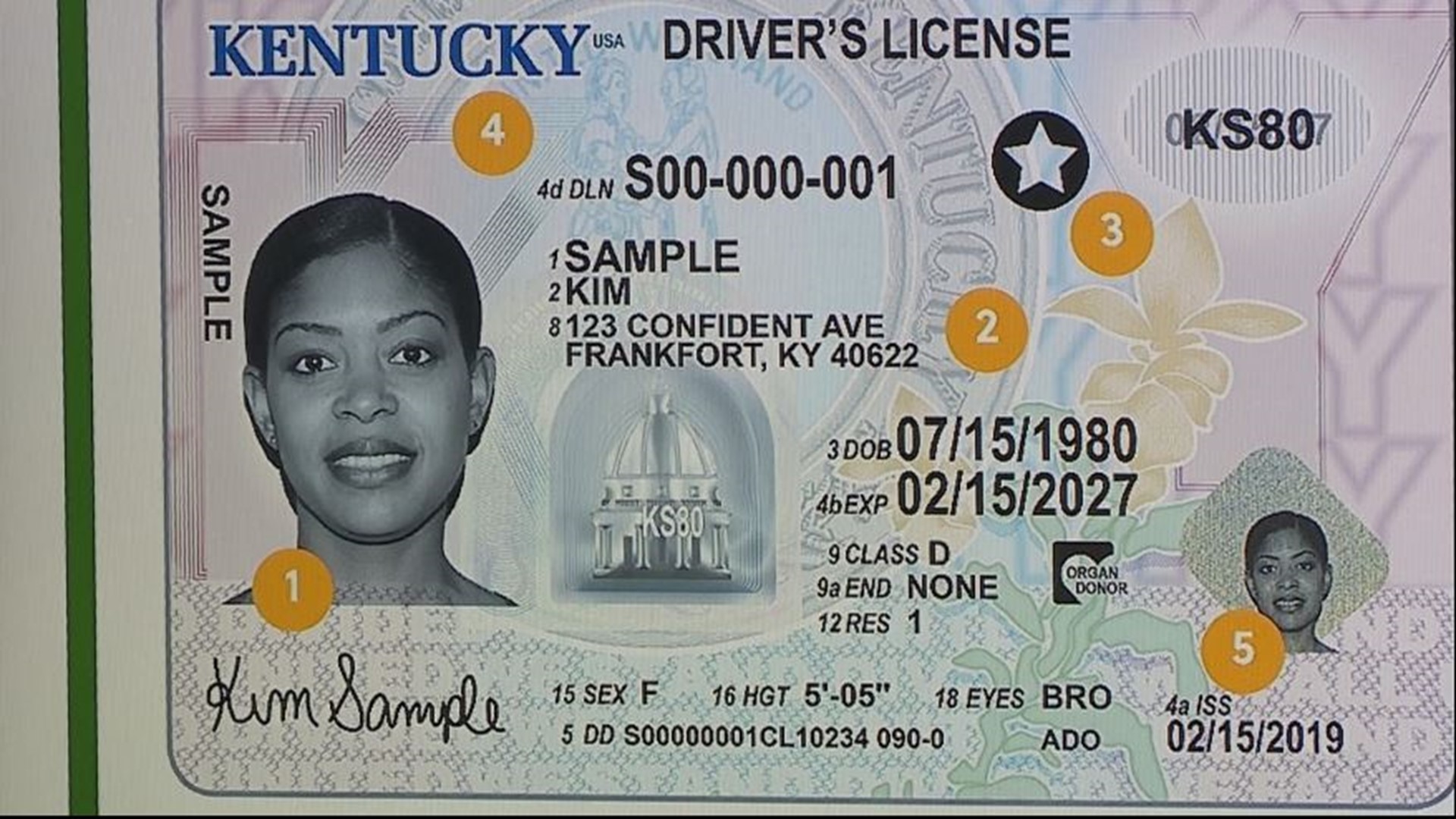 New Kentucky driver's licenses coming in March | whas11.com