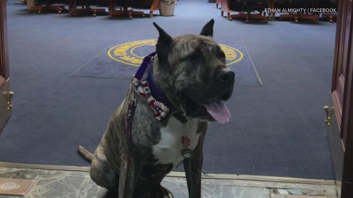 'Ethan's Law' passes Kentucky General Assembly | whas11.com