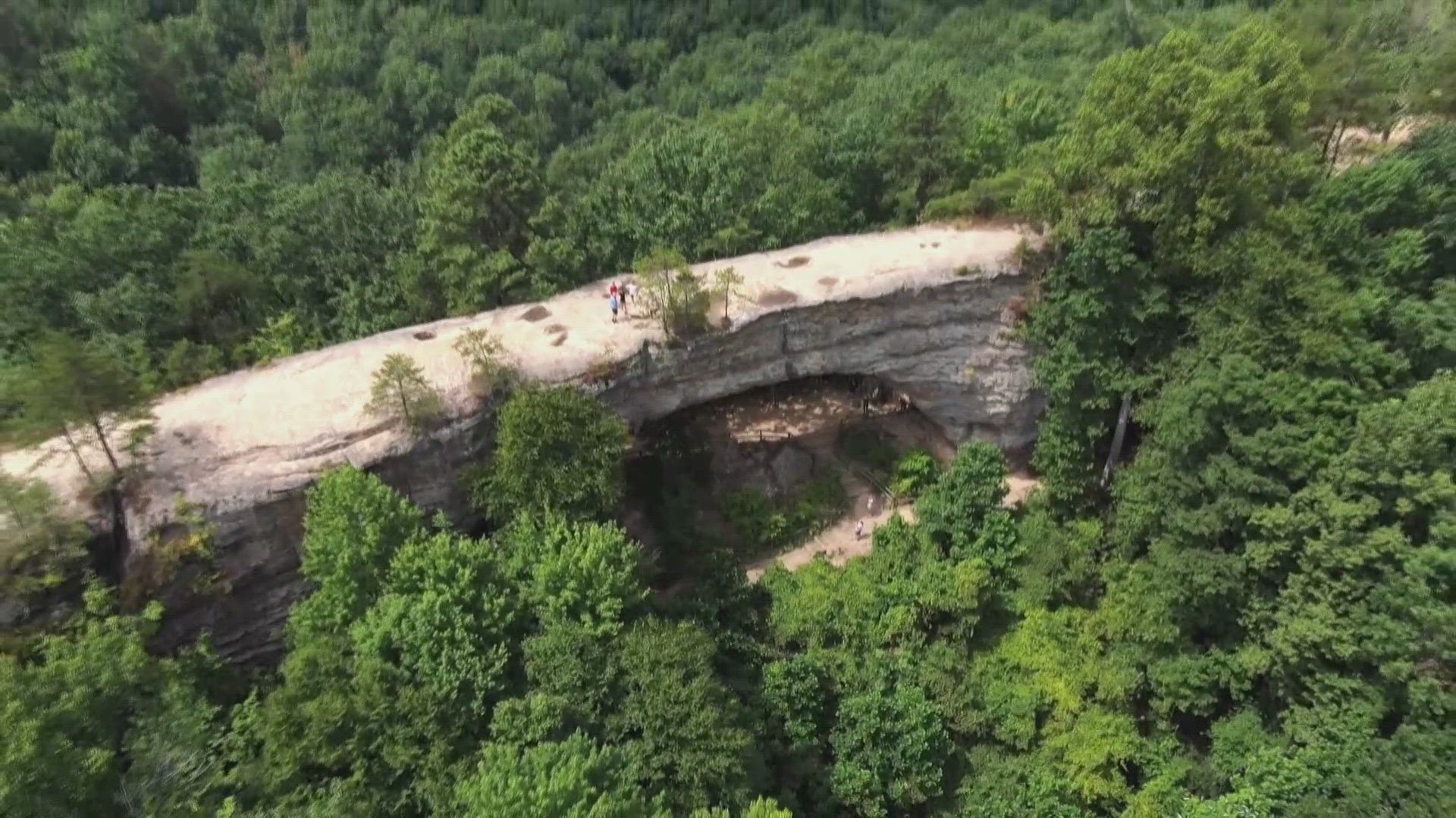 Hiker dies after falling 40 feet at Red River Gorge duringLabor Day ...