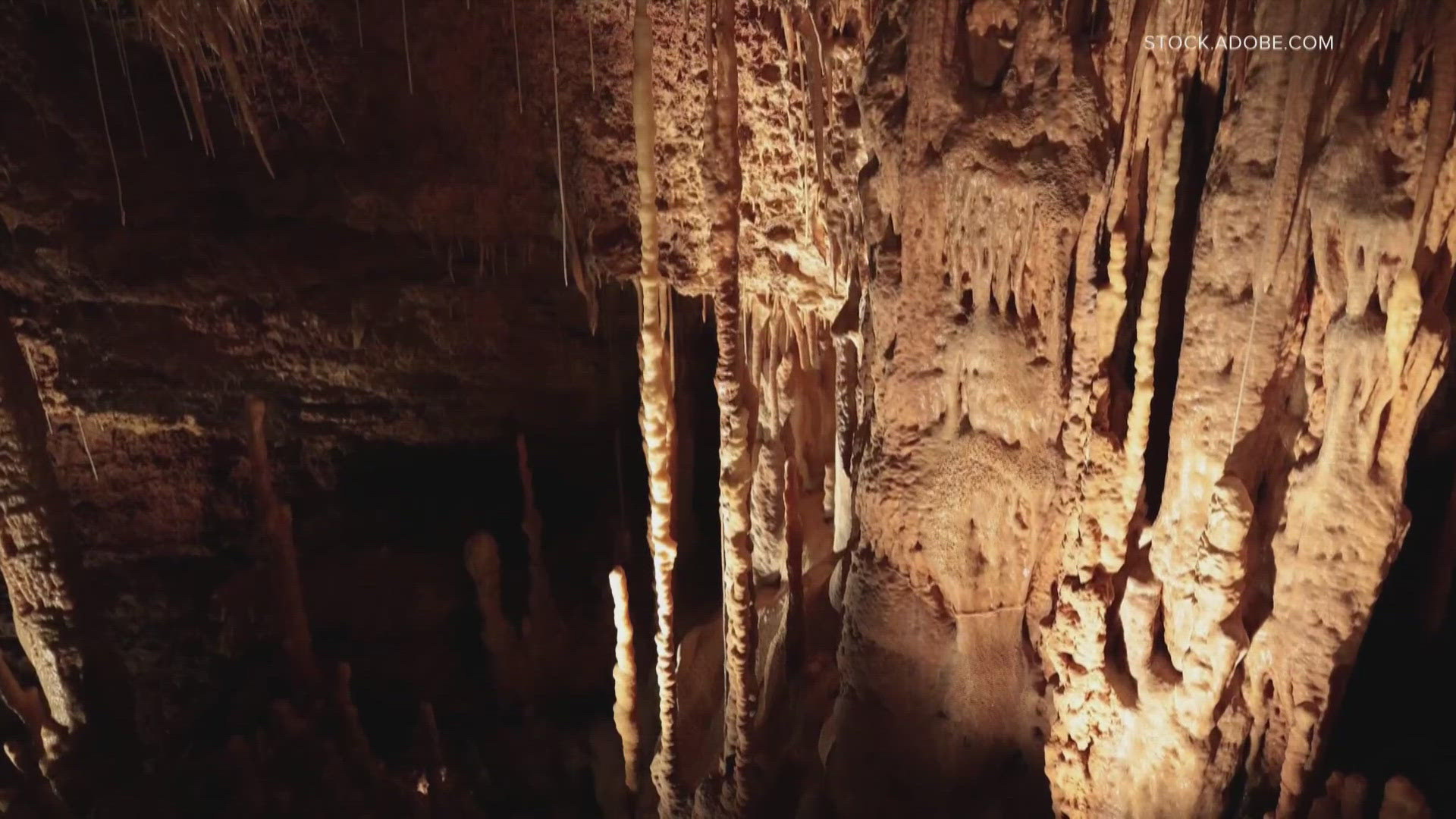Another ancient shark species discovered in Kentucky cave | whas11.com