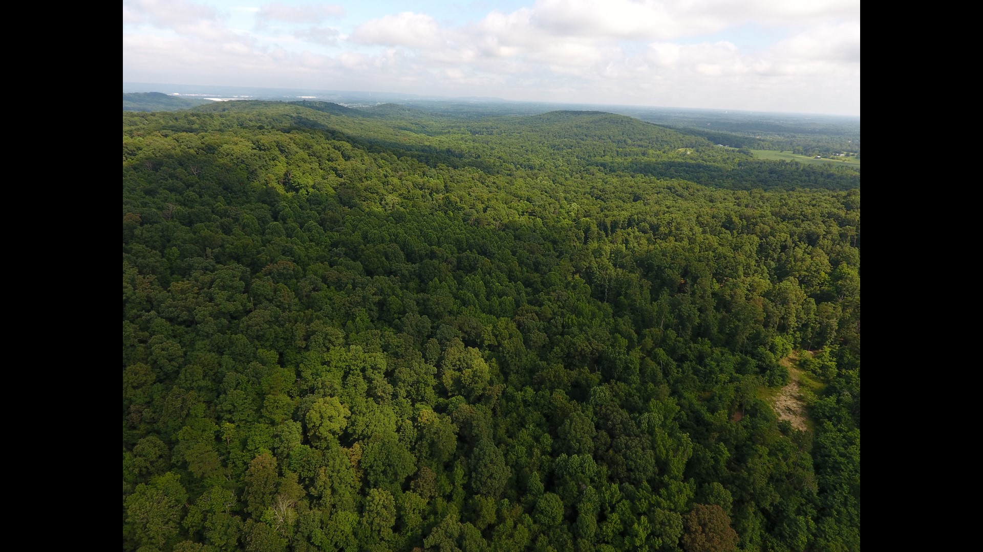 Bernheim Forest 'Colorfest' this Saturday celebrates exciting growth ...