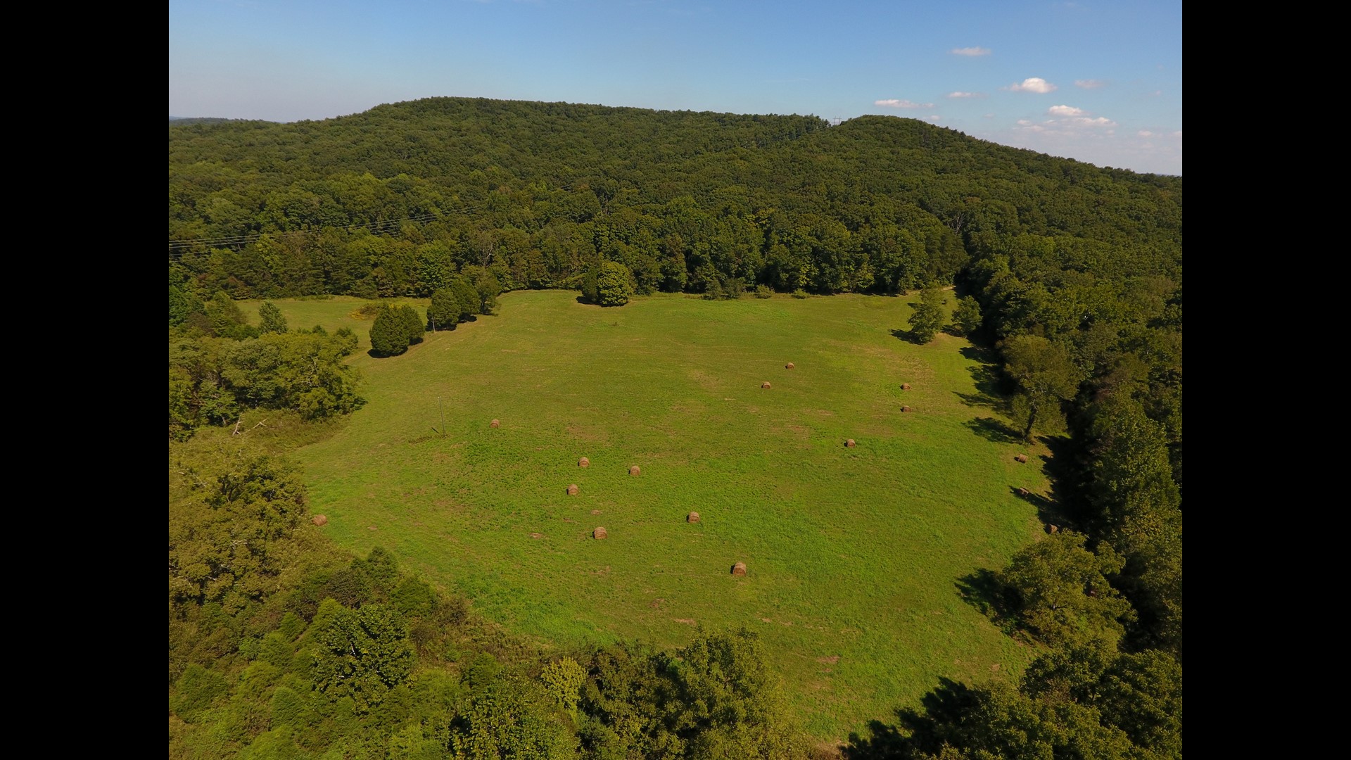 Bernheim Forest 'Colorfest' this Saturday celebrates exciting growth ...
